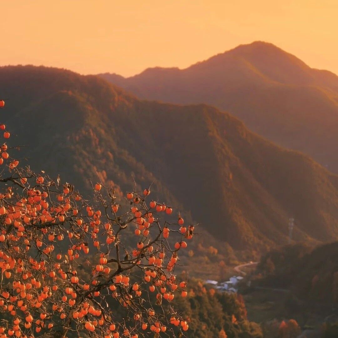 KirkifyAIGenerator的个人主页 - 即刻App